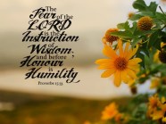 Proverbs 15 33 English KJV Bible Verses