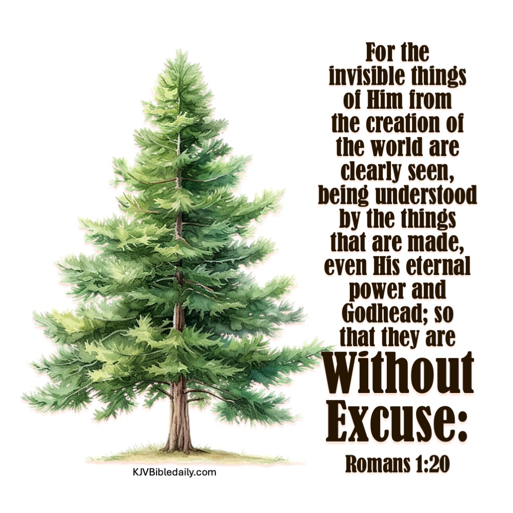 Romans 1:20 KJV – KJV Bible Verses