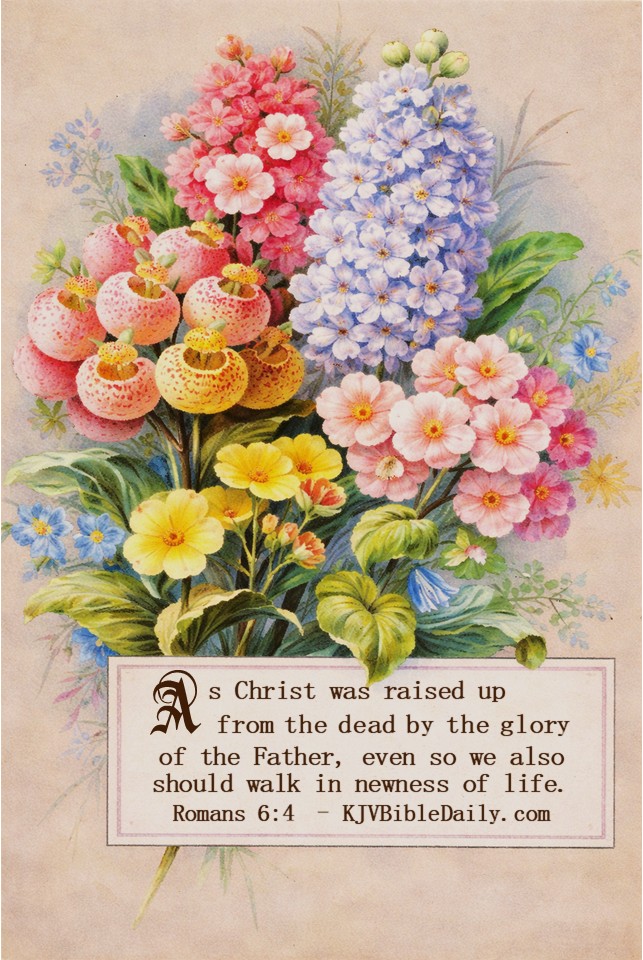 Romans 6:4 KJV – KJV Bible Verses